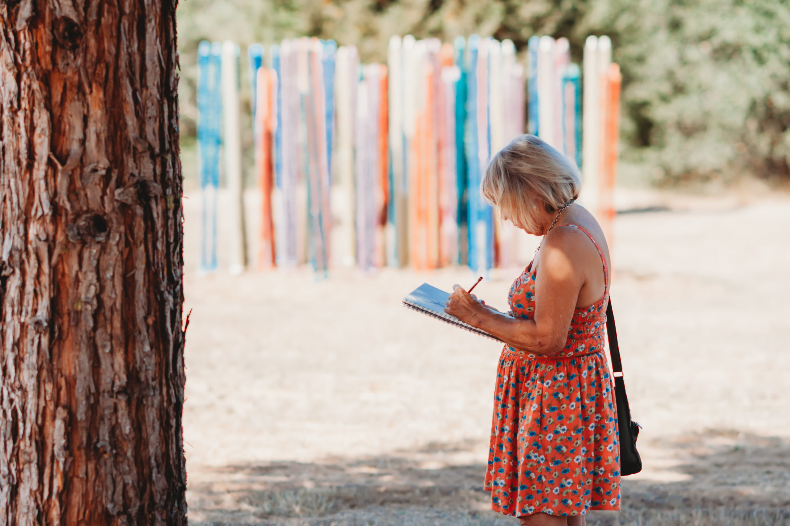 di Rosa Center for Contemporary Art in Napa Valley | di Rosa