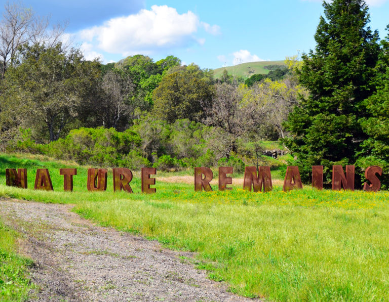 Collection Selections | di Rosa