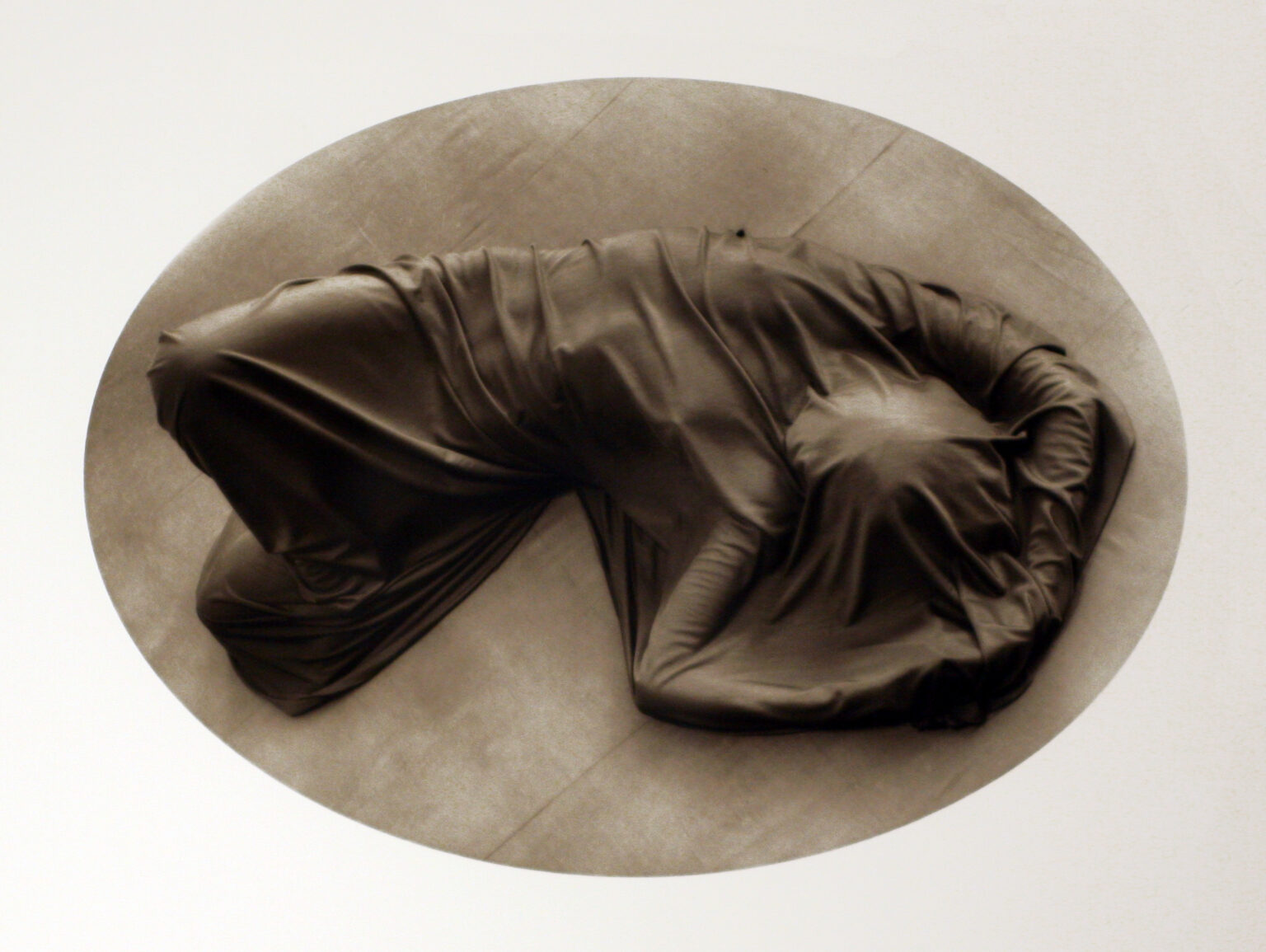 Exhibitions | di Rosa